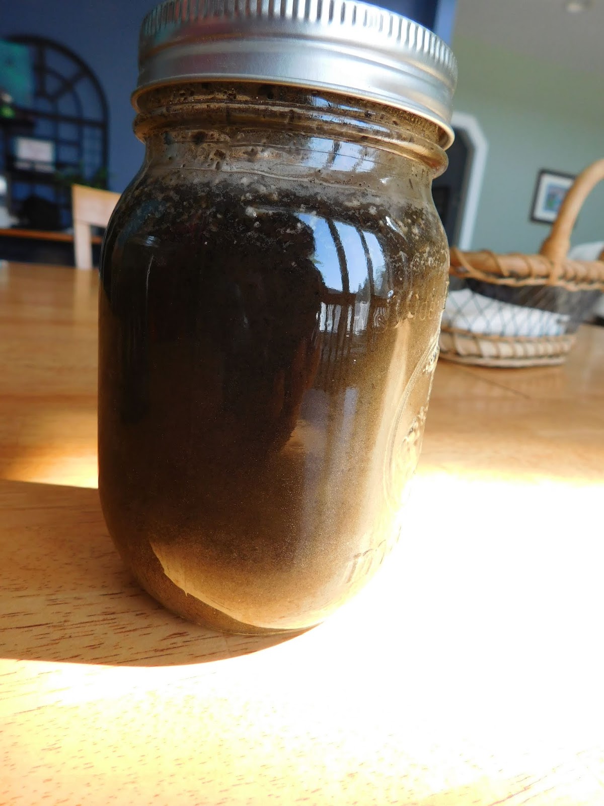 100 Days of Science #87-- Sediment Layer Jars