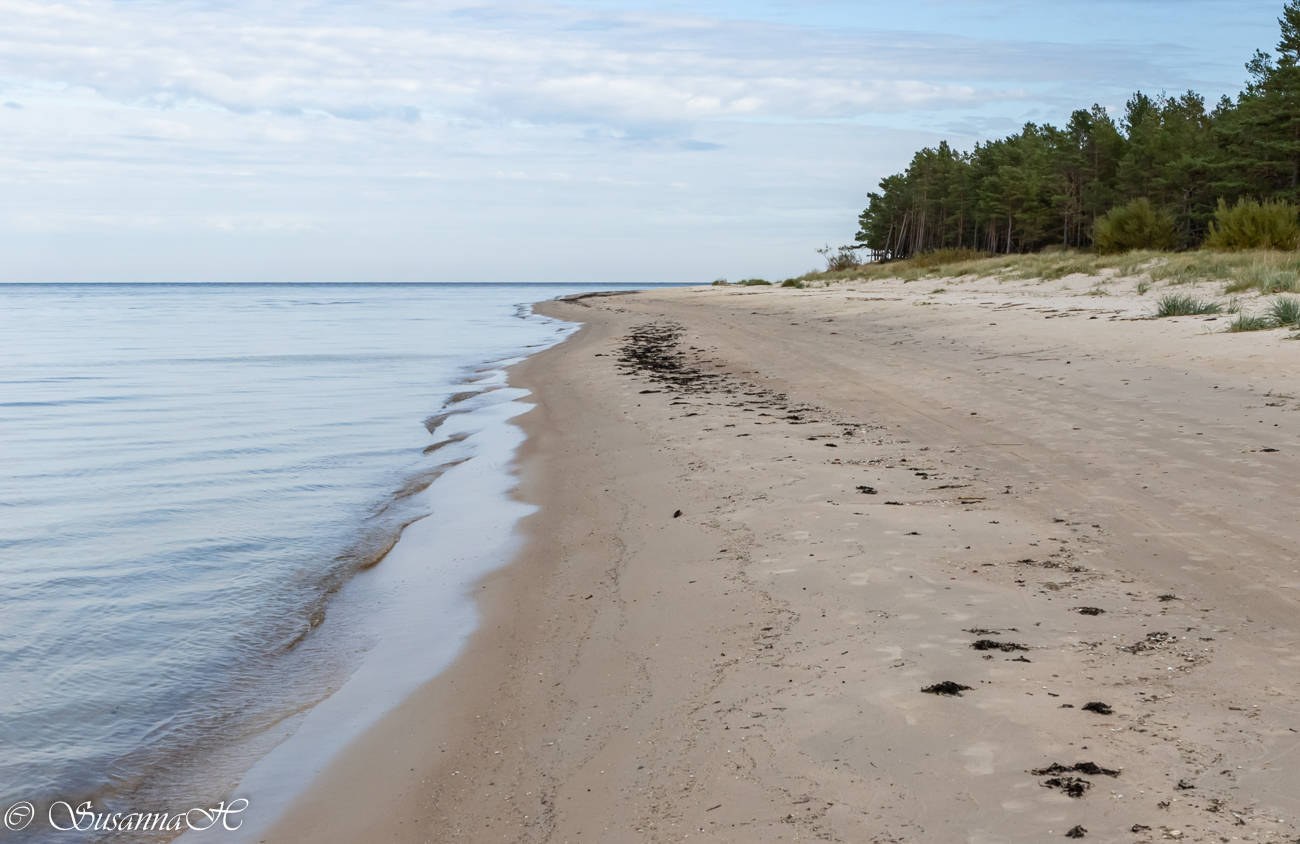Luonnon luomaa: Ranta Jurmalasta pohjoiseen - Ragaciems