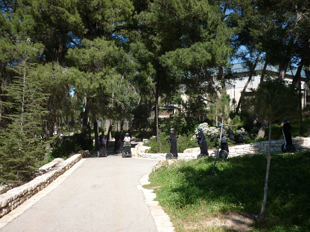 Land of Israel: List of Forests in Israel