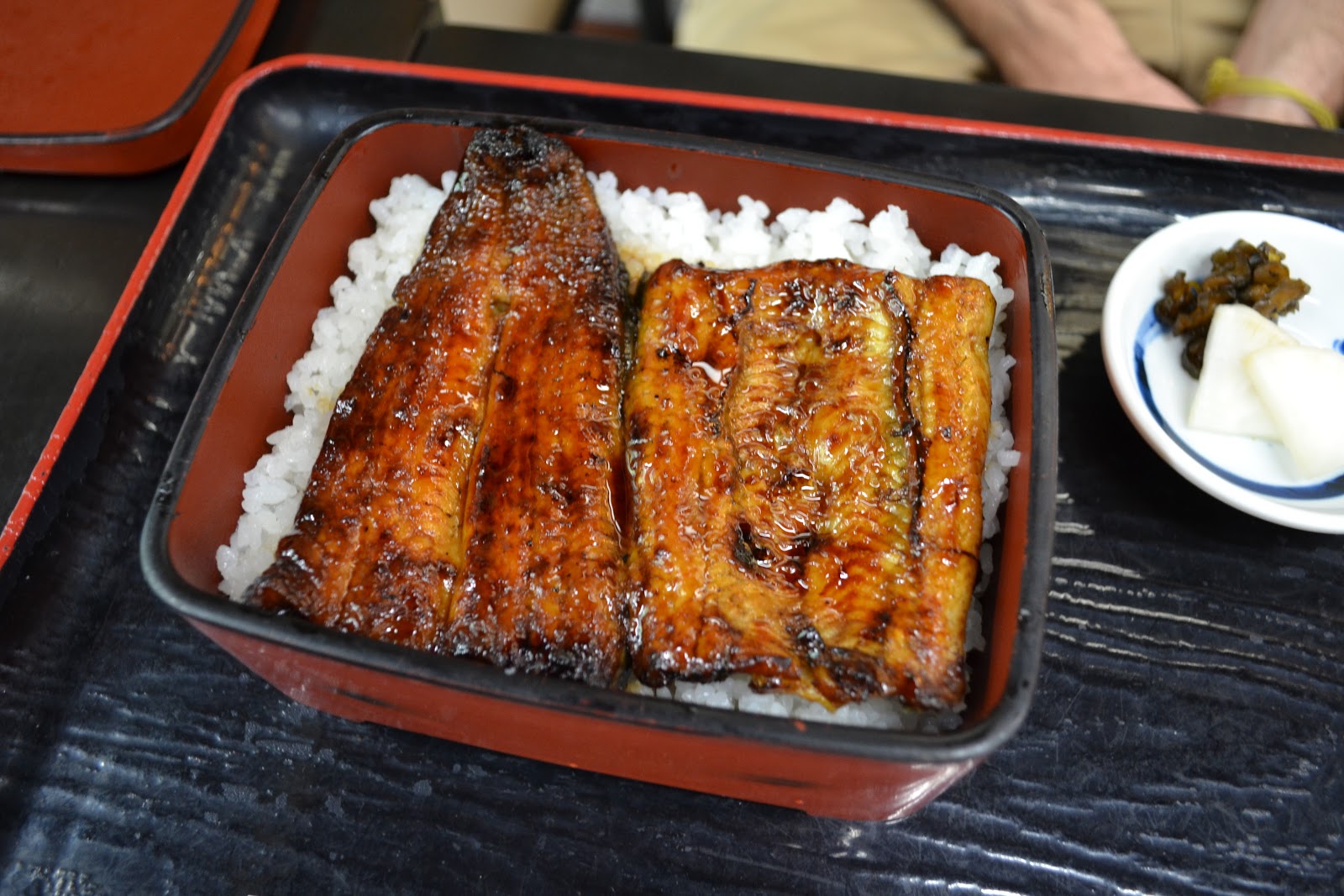 Head (South) East: Possibly the Best Layover Ever, Part 3: Eating Unagi ...