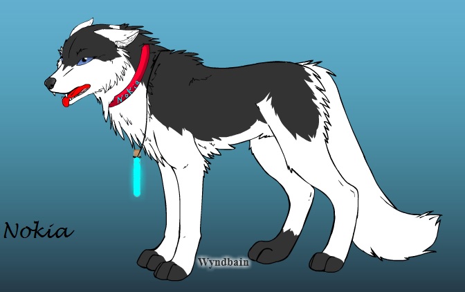 KitKat's Adventures: Wyndbain's Animal Makers