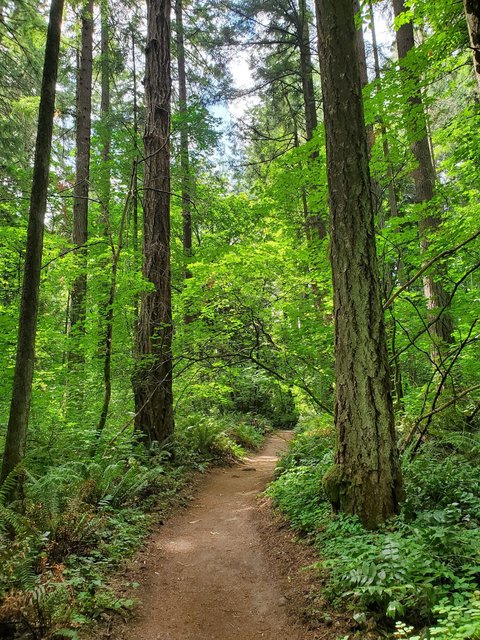 The Long and Winding Road