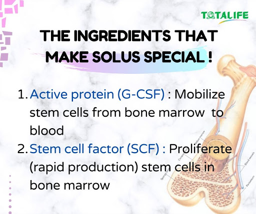 SOLUS : THE KEY TO ACTIVATE THE STEM CELLS