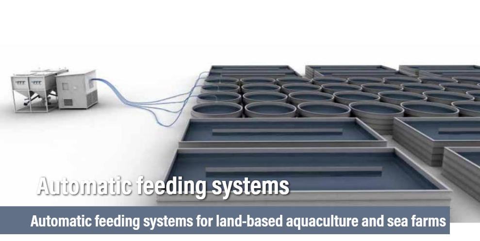 The Aquaculturists: Automatic feeding systems for land-based ...