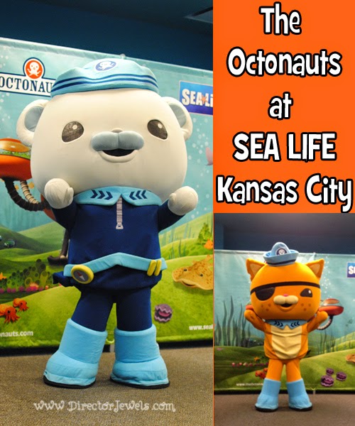 Sea Life Aquarium Octonauts at Emery Espinosa blog