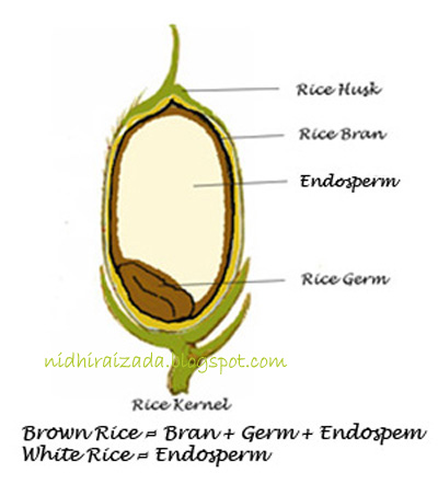 It's Indian Everyday: Which is better for the body, Brown Rice or White ...