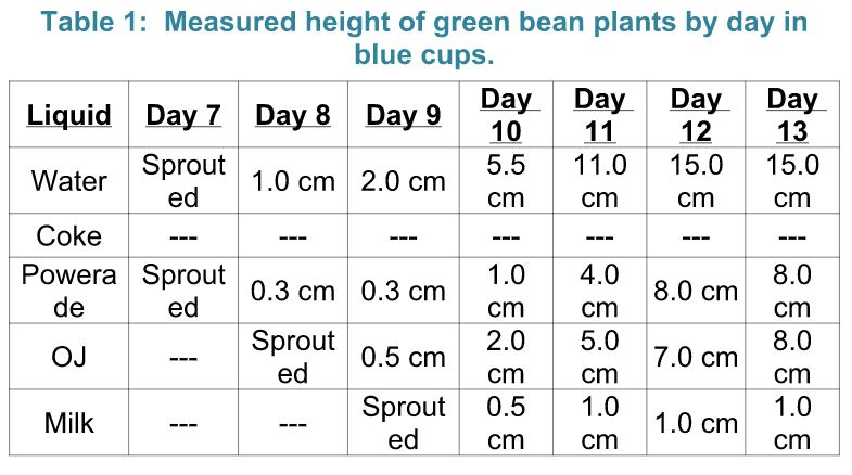 Bean Plant Growth Experiment