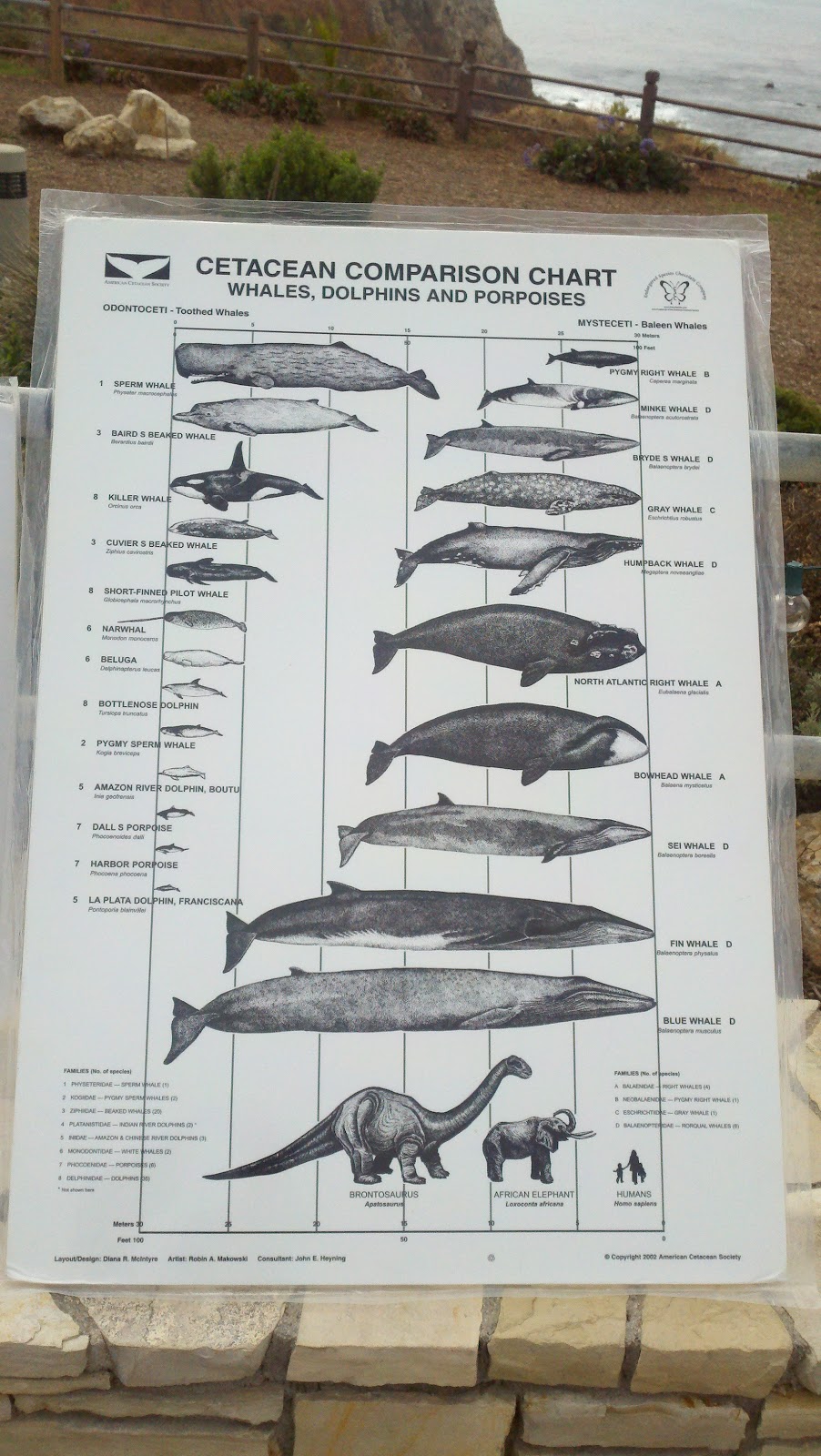 Saramasfina: Arise! Leviathan of the Deep!