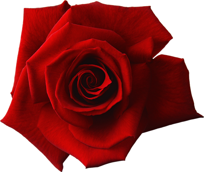 Imagenes de cosas rojas - Imagui