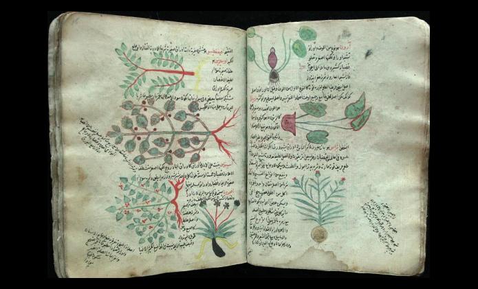 Ahli Botani Pada Masa Kejayaan Islam