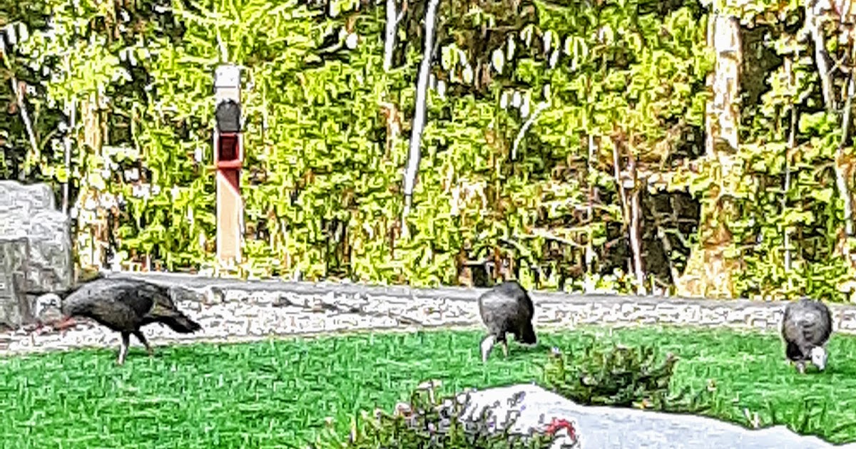 Big Daddy Dave: Various Scenes and “Happenings”