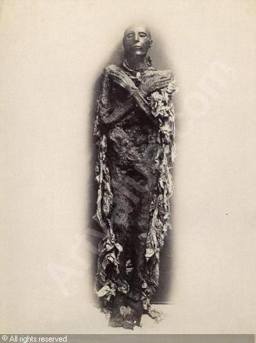 Imagenes de Egipto: Momia de Ramses II.fotos