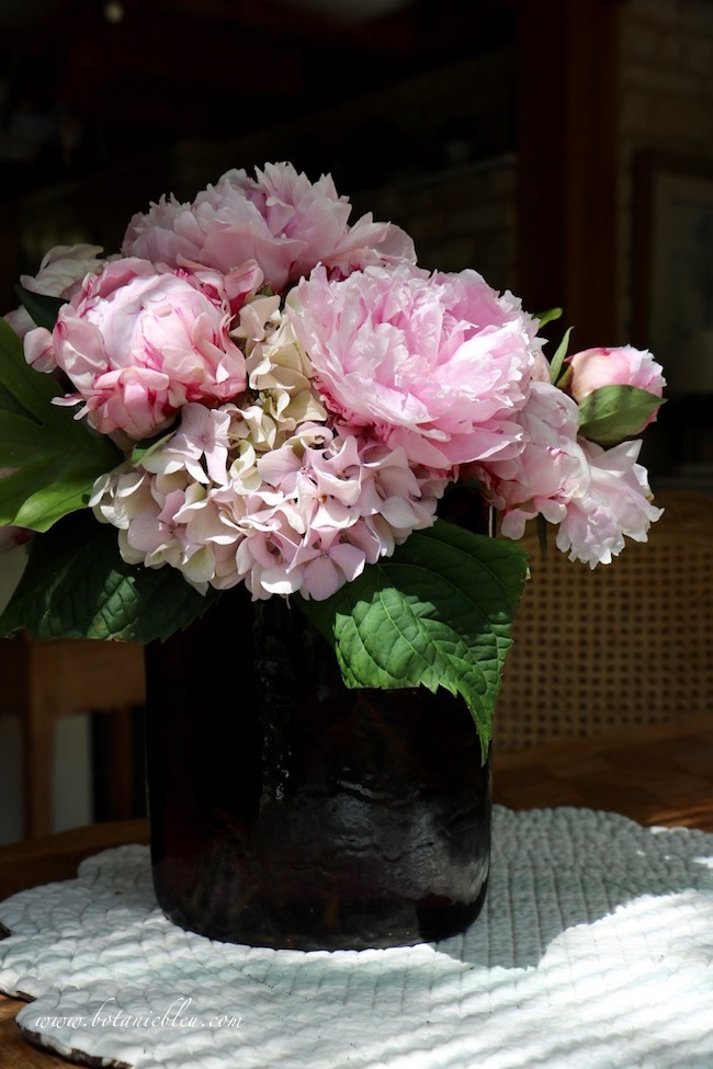 Botanic Bleu: Under the Peony Spell