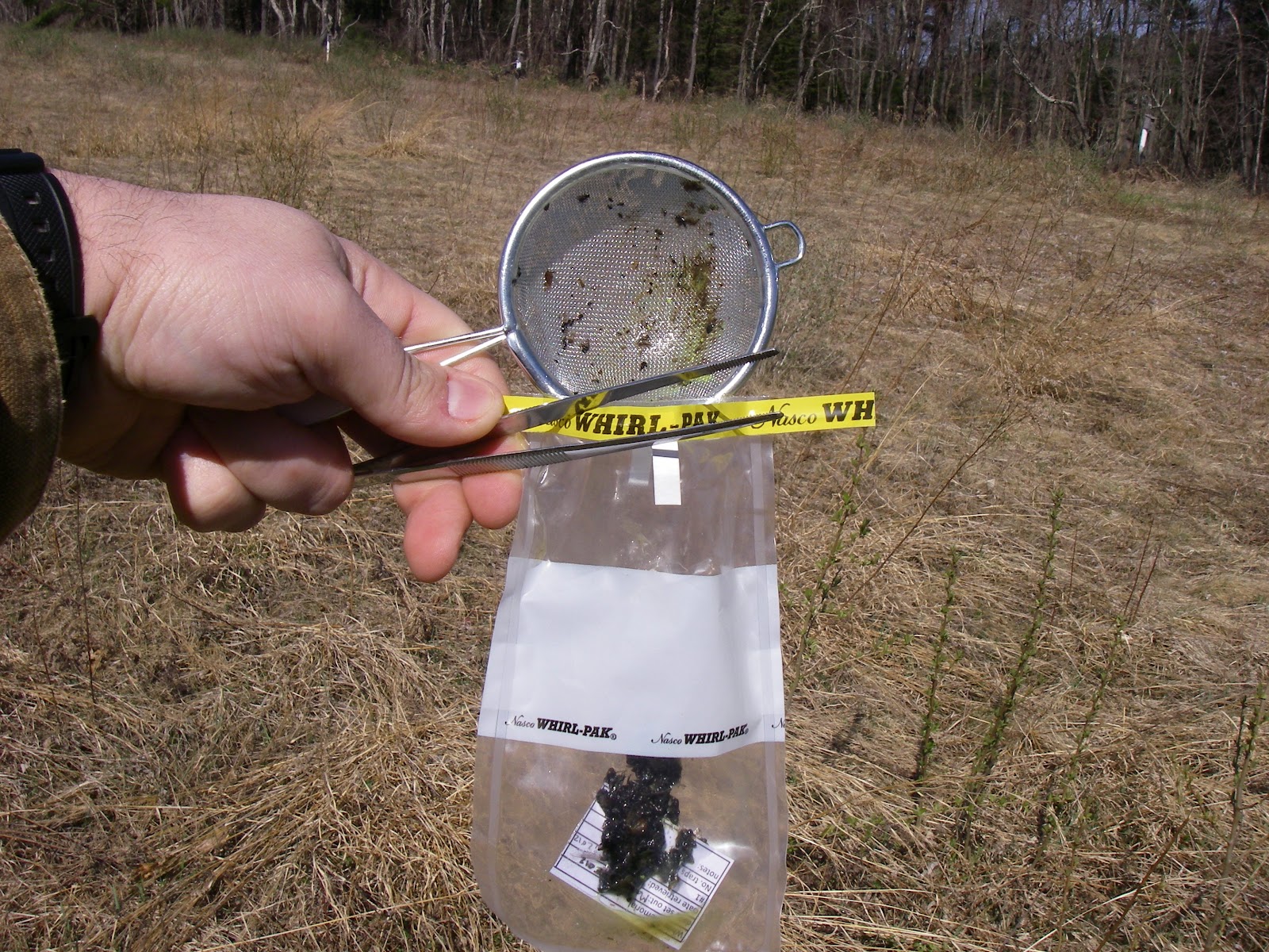 Wildlife Monitor: Native Bee Monitoring -- Season's First Trap Check