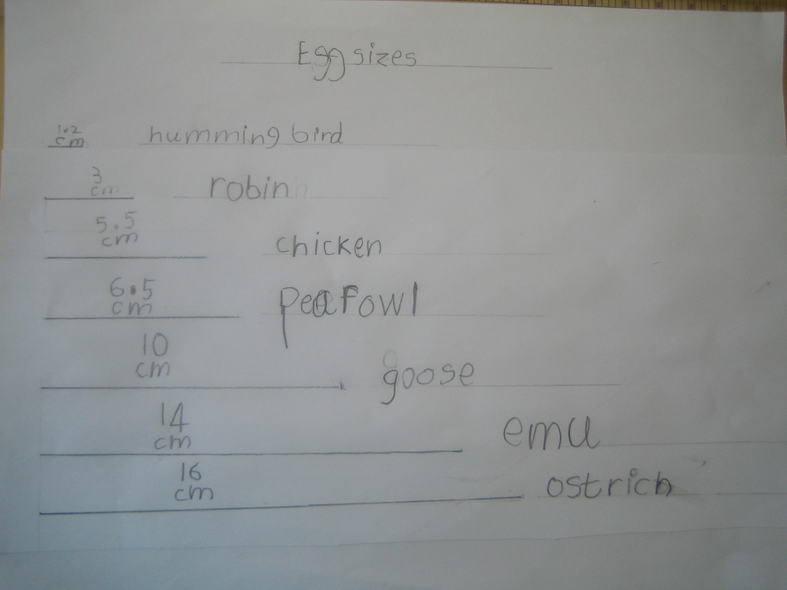Umamah Learning Academy: An Egg Unit Study