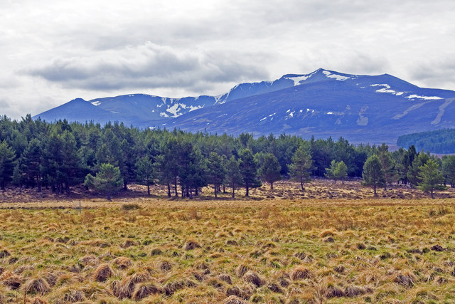4 Things to Do While in Balmoral Castle
