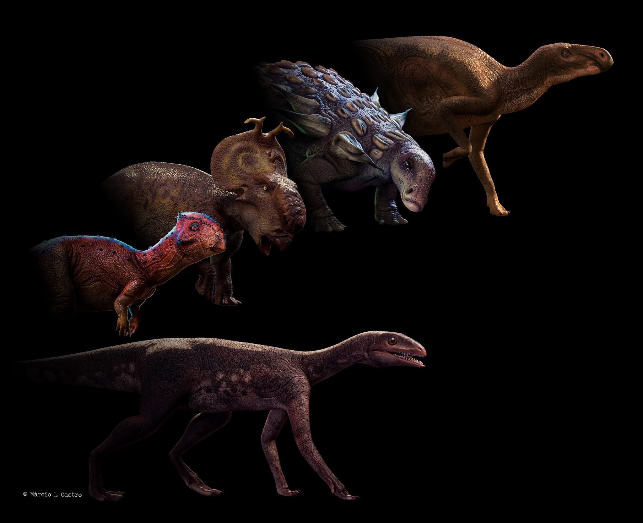 Species New to Science: [Paleontology • 2020] A Paraphyletic ...