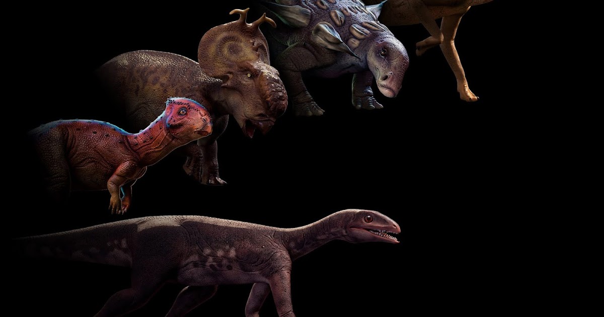 Species New to Science: [Paleontology • 2020] A Paraphyletic ...