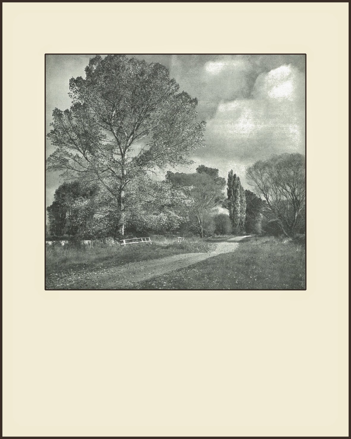 solitary dog sculptor: 04/05/15