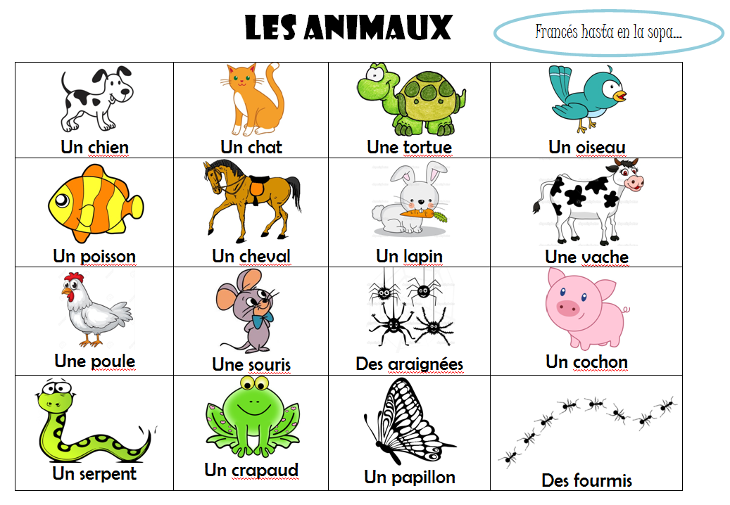 APRENDEMOS DESDE CASA Y NOS DIVERTIMOS. QUINTO: FRANCÉS