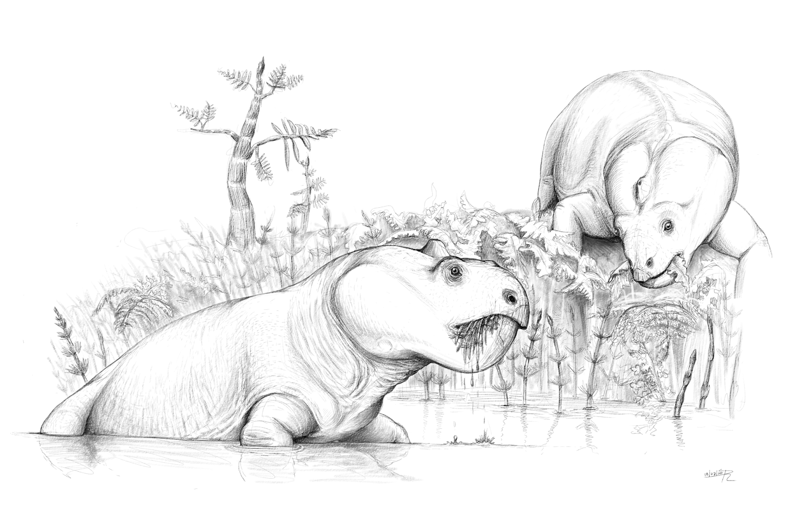 Double Dog Teeth: Stable Isotopes and the Ecology of Endothiodon