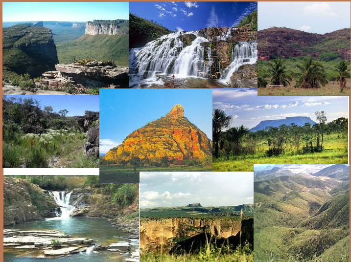 BIBOCA AMBIENTAL : CERRADO - BREVE HISTÓRICO