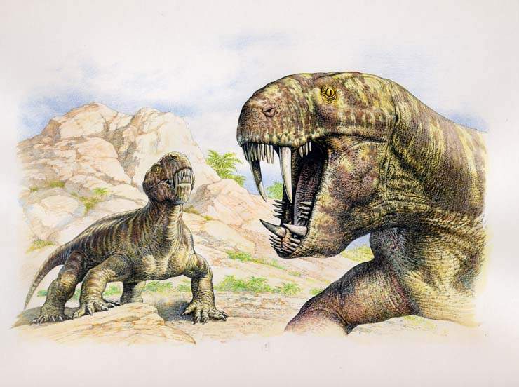 Pelo y mamas. El origen de los Mamíferos.