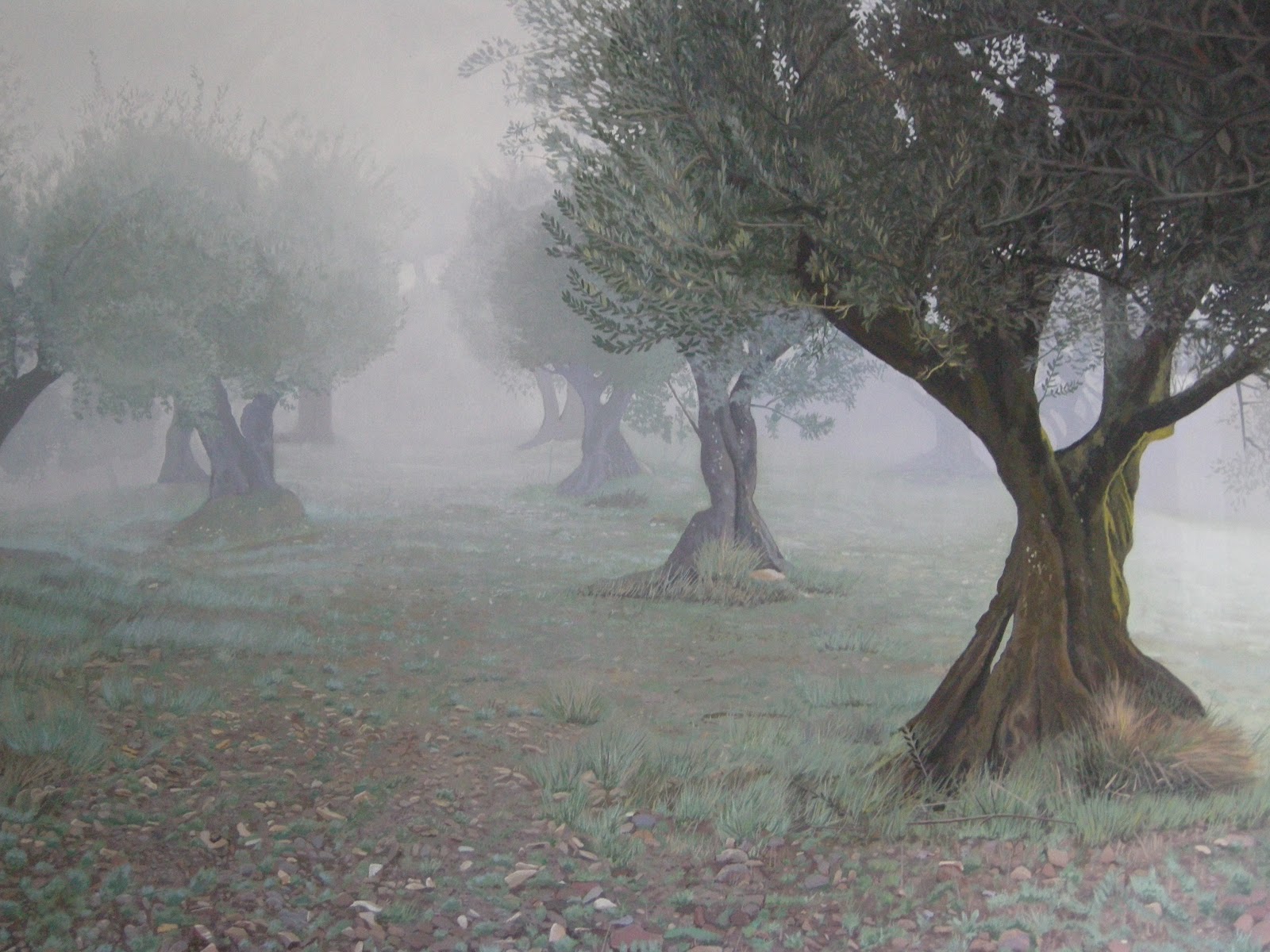 Meteorología casera