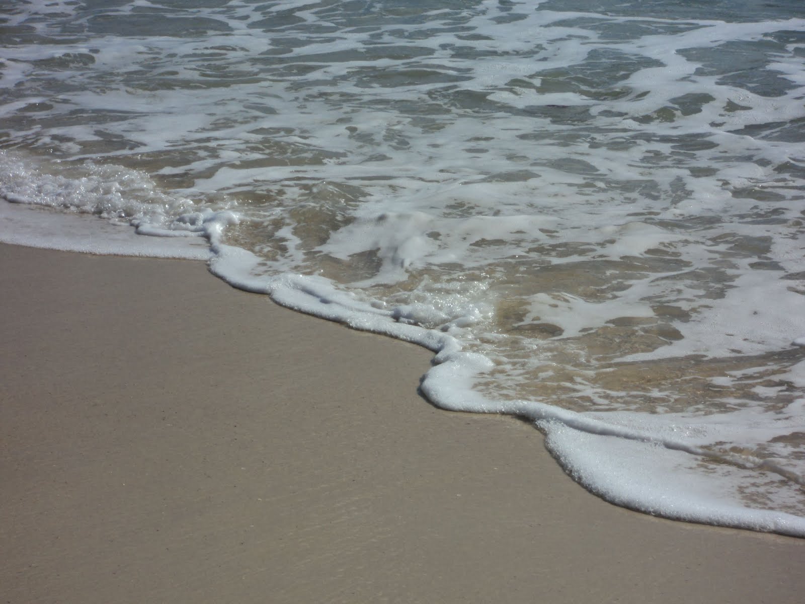 beachcomber: beachcombing