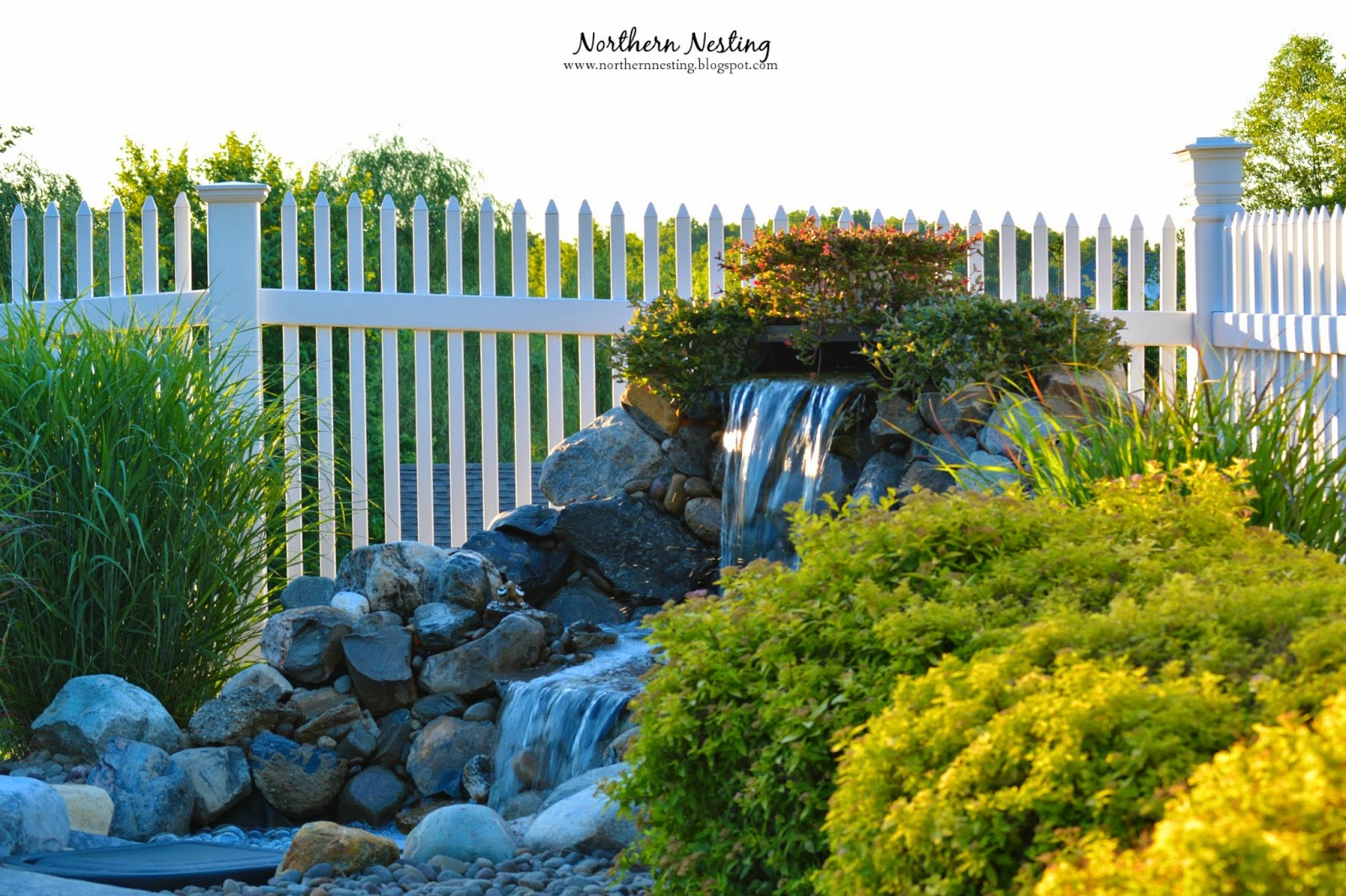 Northern Nesting: Our New Water Feature