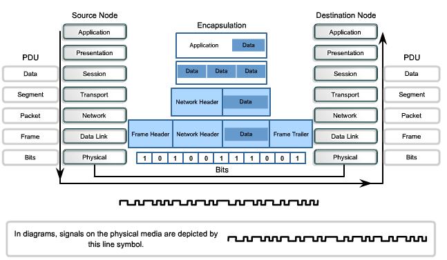 IT Cebu Administrator: OSI Physical Layer