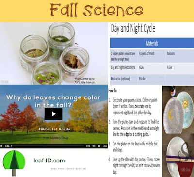 Fall 2020 | Ideas for the Home and Classroom