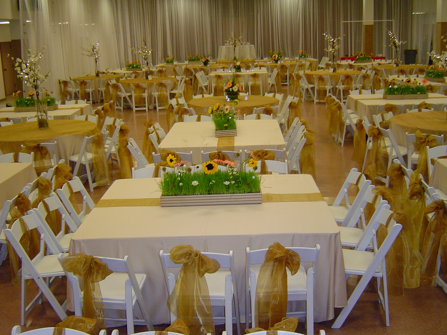 Intimate Wedding Showcase: Portfolio