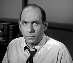 Television's New Frontier: The 1960s: August 2013