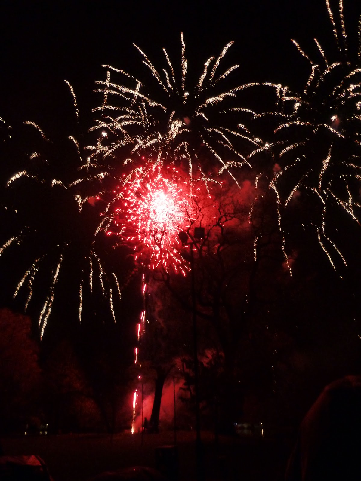 Pink Leprechaun: November 2012