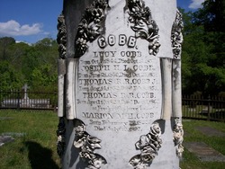 Ancestors In a Little Blue and a Lot of Gray: The Brothers Cobb Part ...
