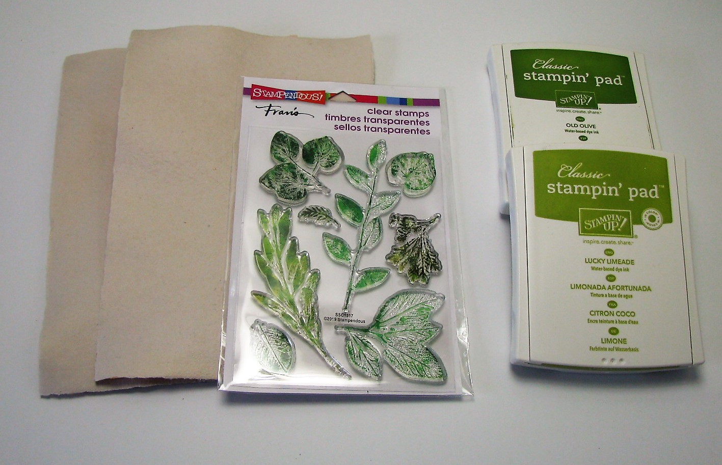 Leaf Imprint Stamped Card on Handmade Paper