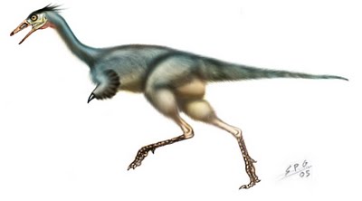 Los animales en la prehistoria: Mononykus olecranus