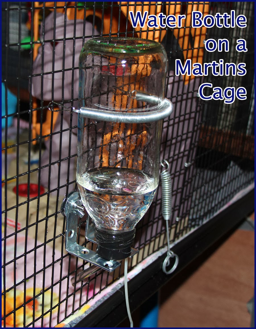 Lixit Glass Water Bottle for