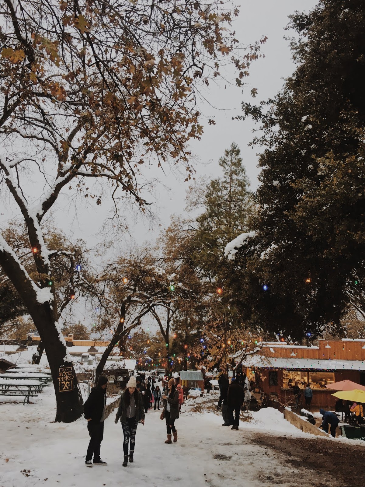 Snowy December | StephC