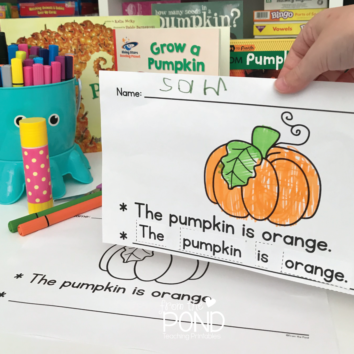 Pumpkin Writing | From the Pond