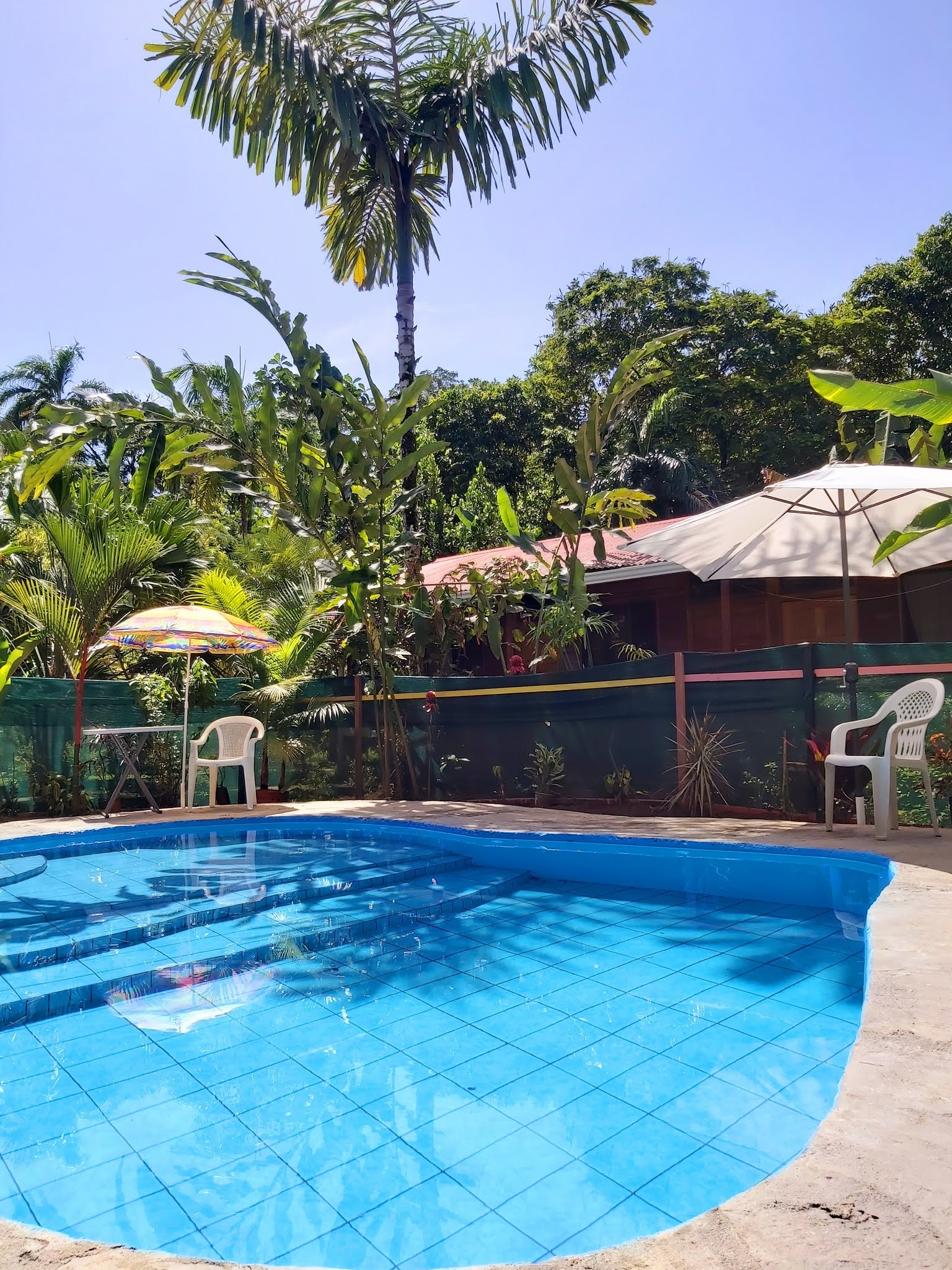 Cabinas Colibrí, Playa Gandoca, Limón Costa Rica: 2021