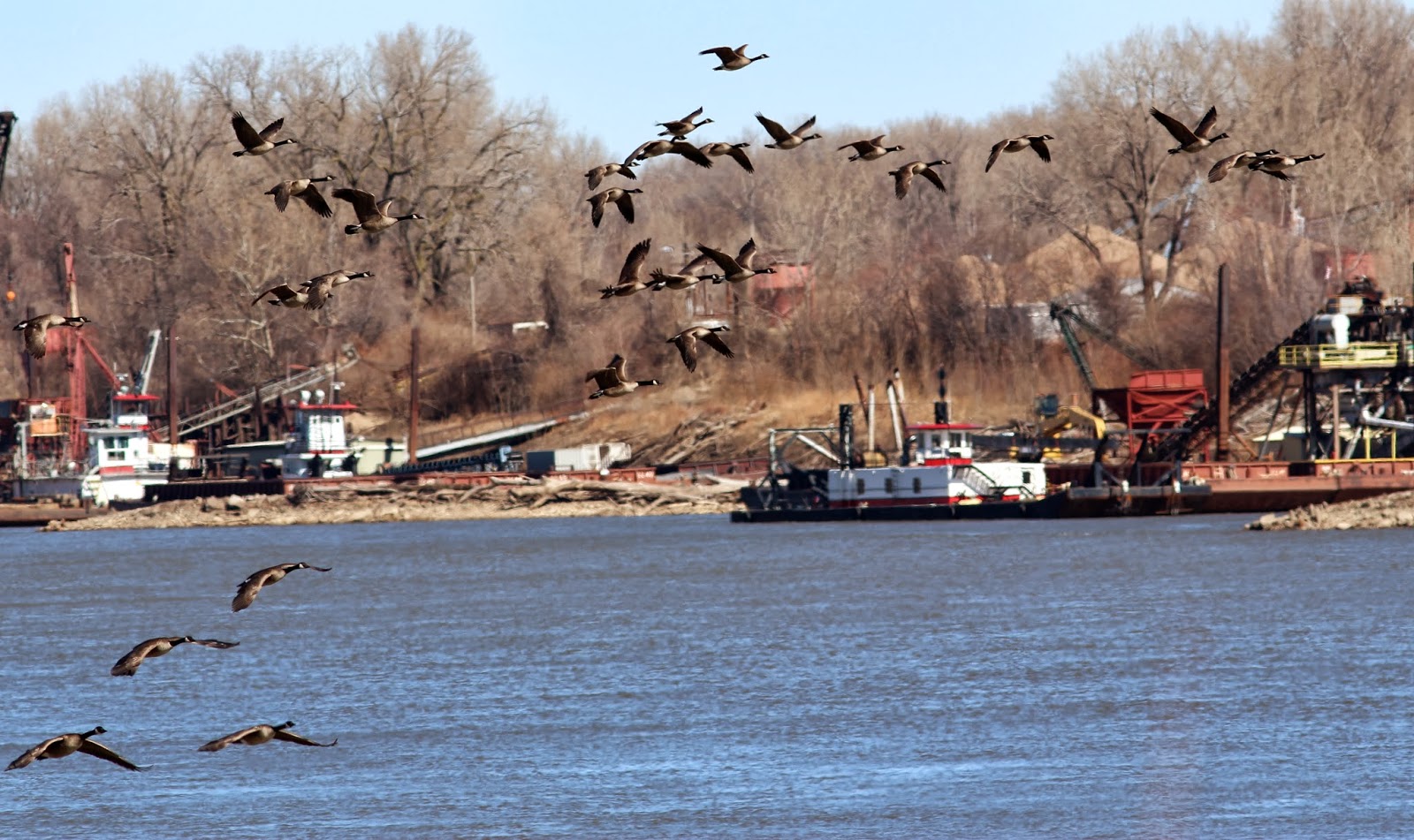 Out and About the Midwest: Frontier Park Missouri River Wildlife