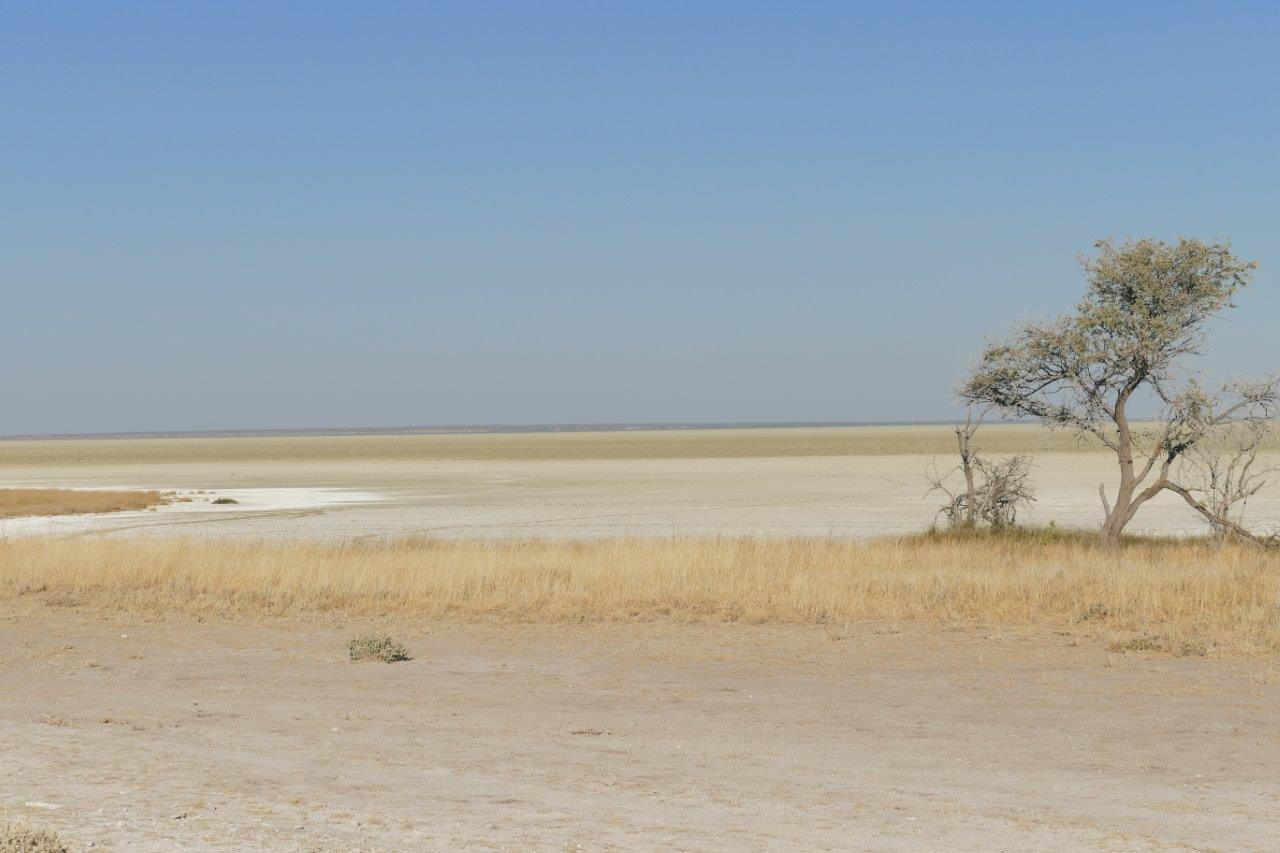 Southern Africa's Ramsar Sites: Etosha Pan (Namibia)
