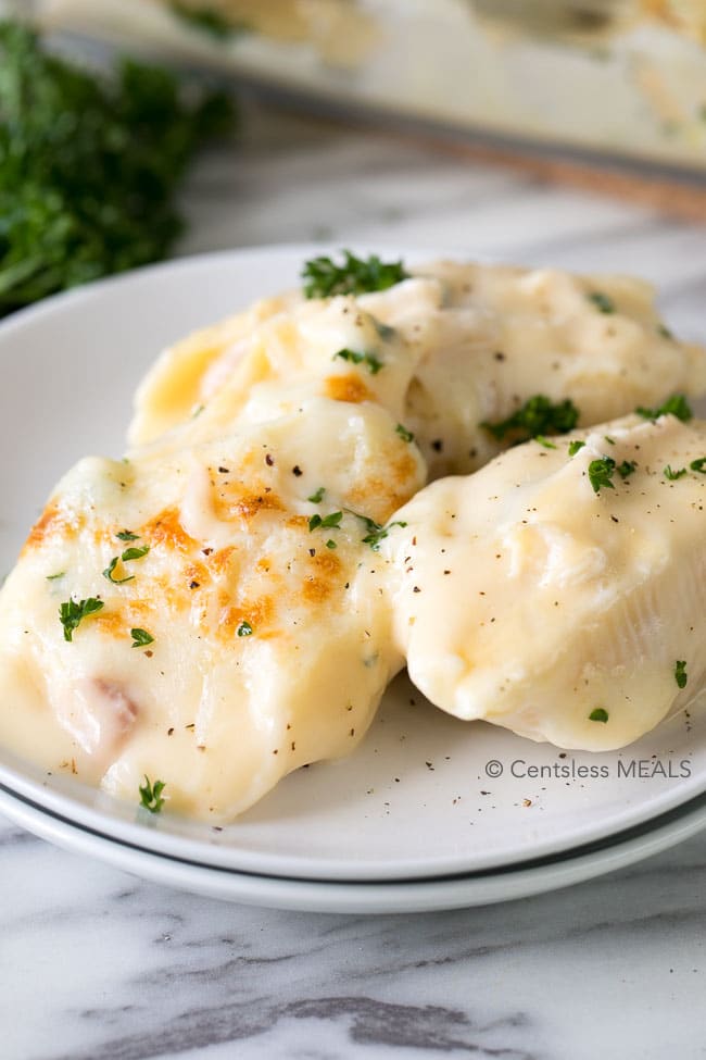 CHEESY CHICKEN STUFFED SHELLS RECIPE - NEWS RECIPES