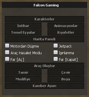 MTA SA Freeroam Panel F1