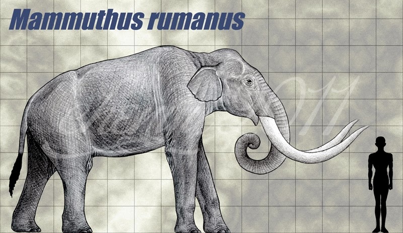 Mundo Pré-Histórico: As espécies de mamute