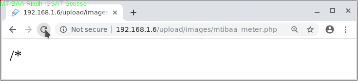 PHP Shells PentesterLab & DVWA