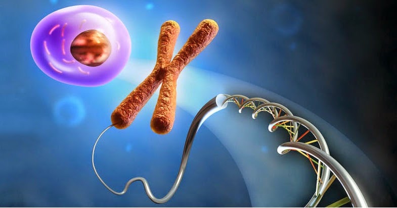 Alteraciones Cromosómicas.